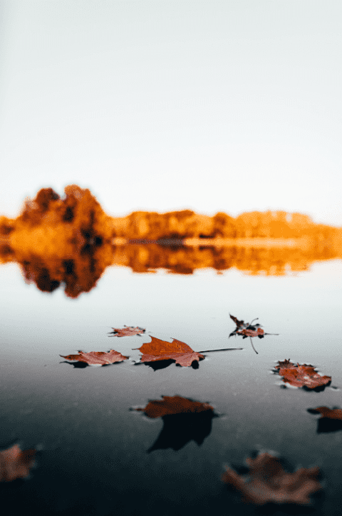 Lake Turnover and Why It Matters | Lake Maxinkuckee Environmental Fund